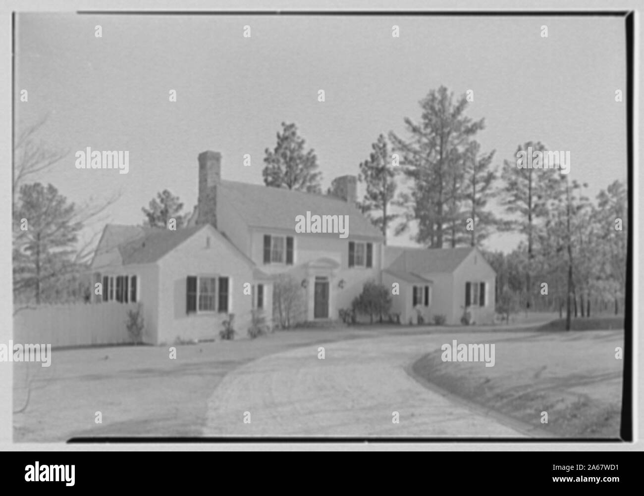 Southern pines and north carolina hi-res stock photography and images ...