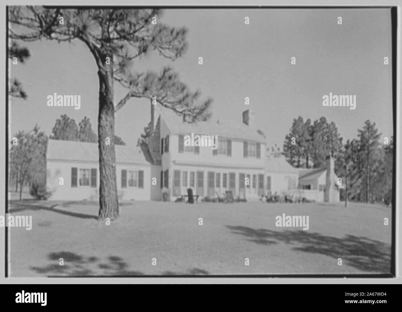 Southern pines and north carolina hi-res stock photography and images ...