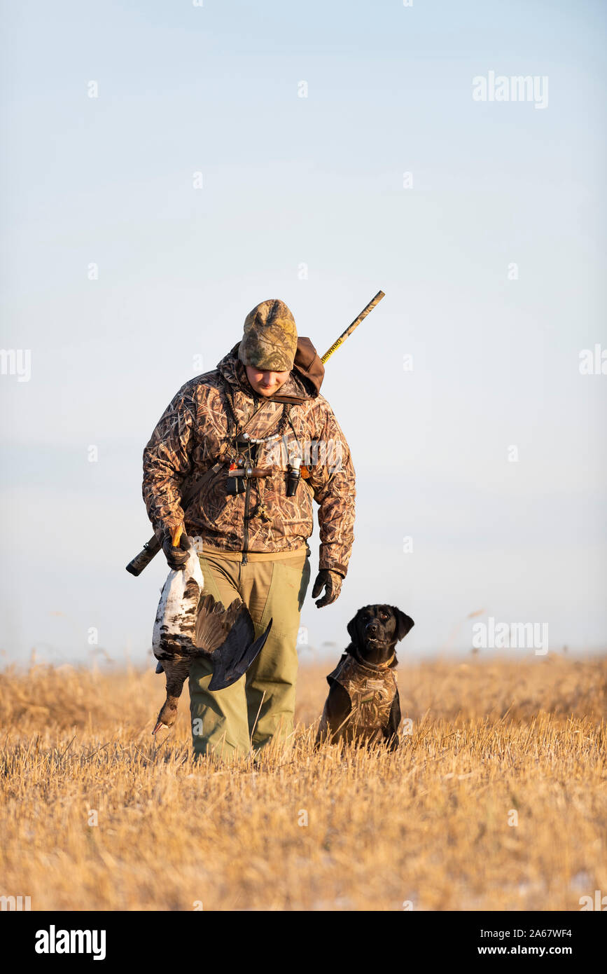 A Young Goose hunter with his Black Labrador Retriever Stock Photo - Alamy