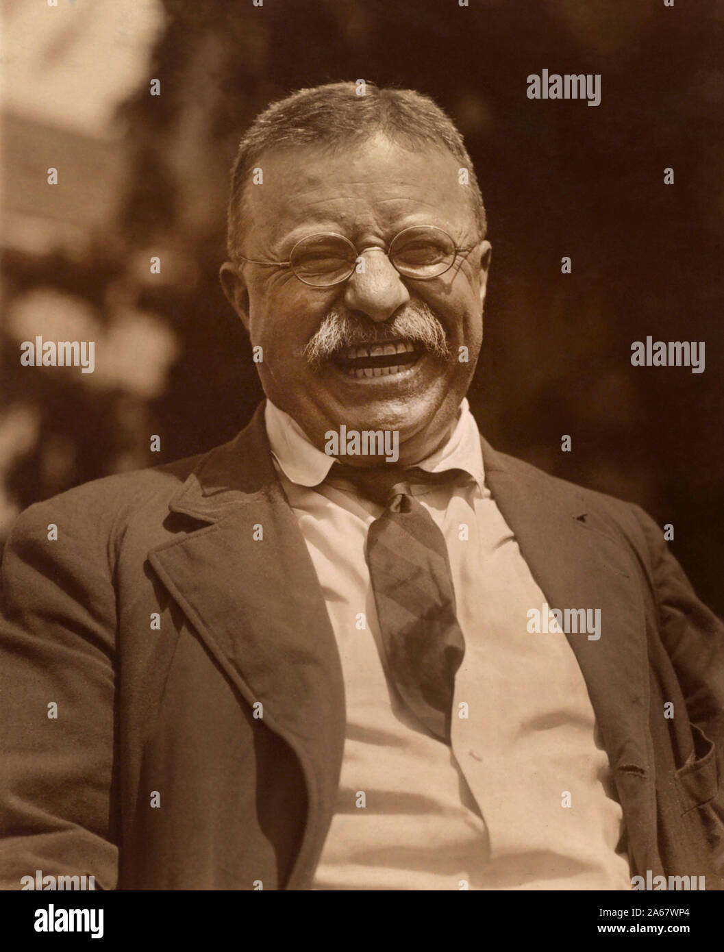 Half-Length Smiling Portrait of Former U.S. President Theodore ...