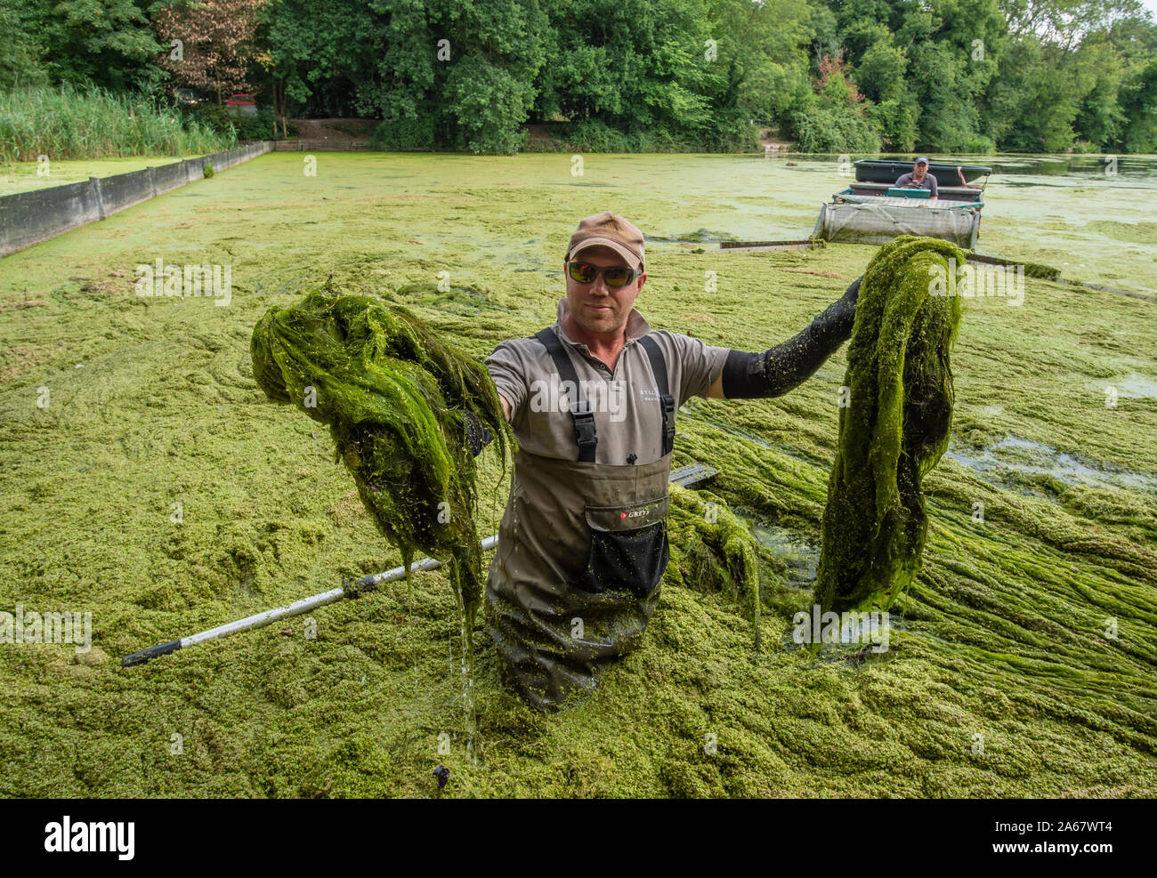 Specialist water management operators clearing the toxic algae from ...