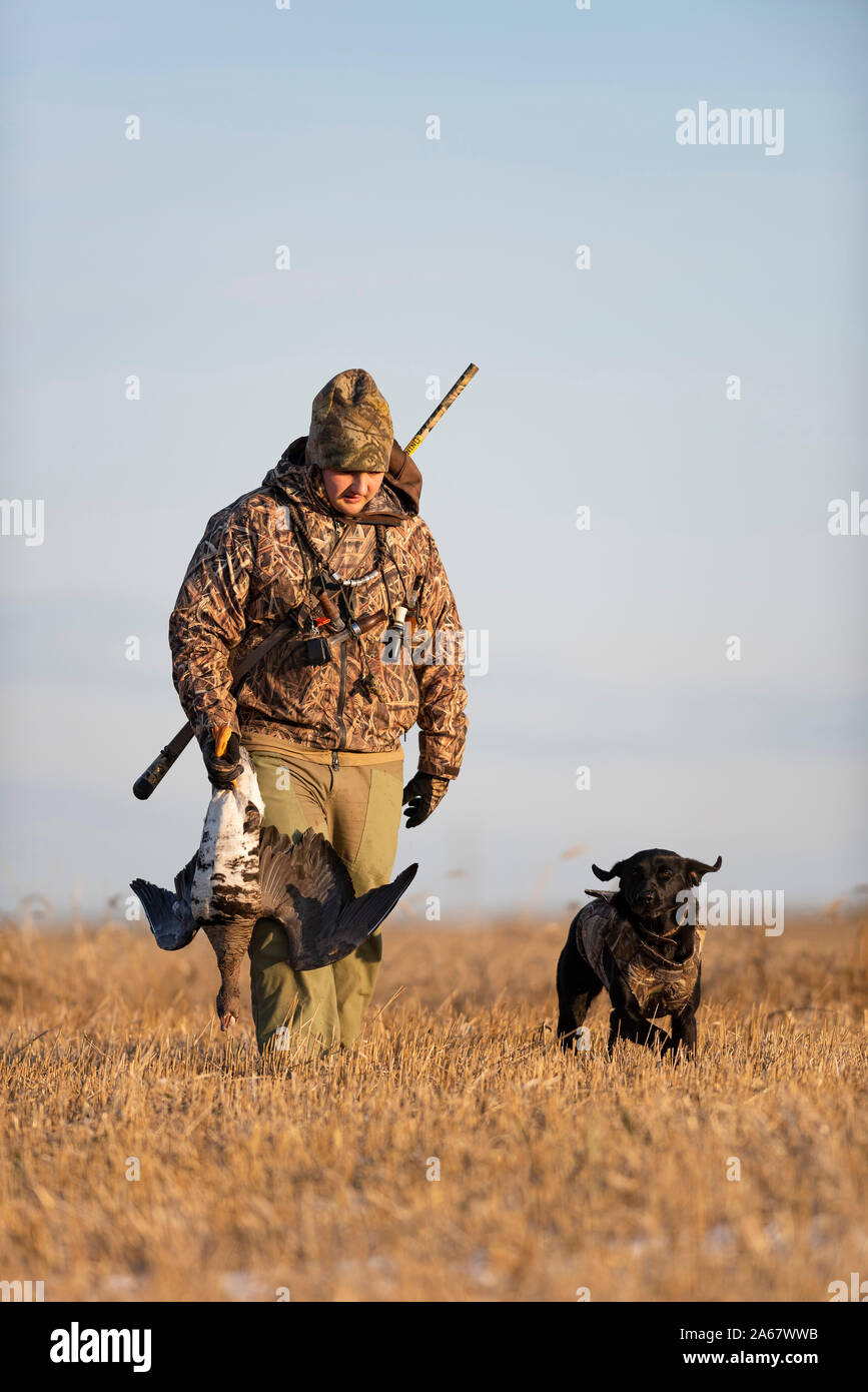 A Young Goose hunter with his Black Labrador Retriever Stock Photo - Alamy