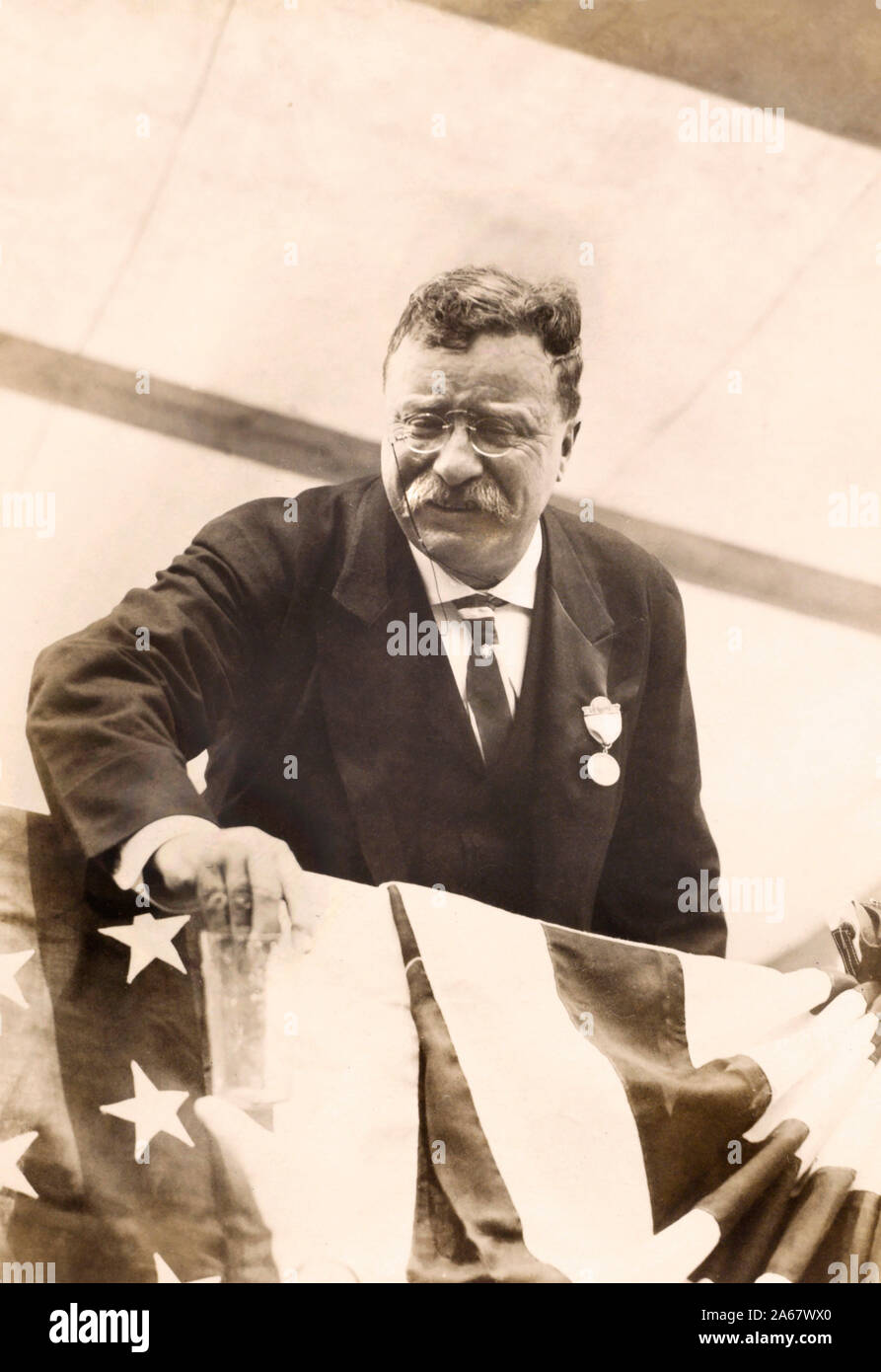 Theodore Roosevelt Ties The Boldness Of T. Roosevelt | The Ripon