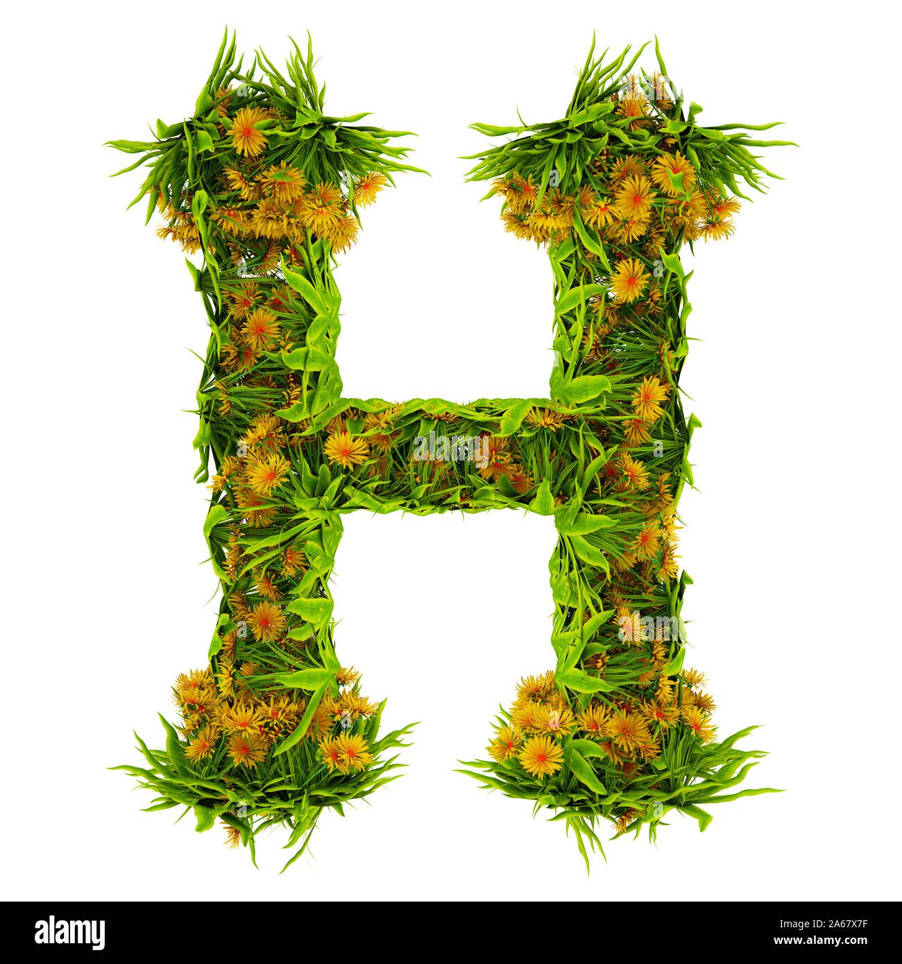 Letter H Flowers High Resolution Stock Photography and Images - Alamy