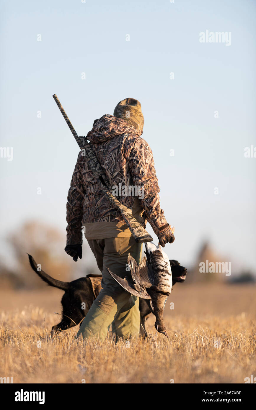 A Young Goose hunter with his Black Labrador Retriever Stock Photo - Alamy