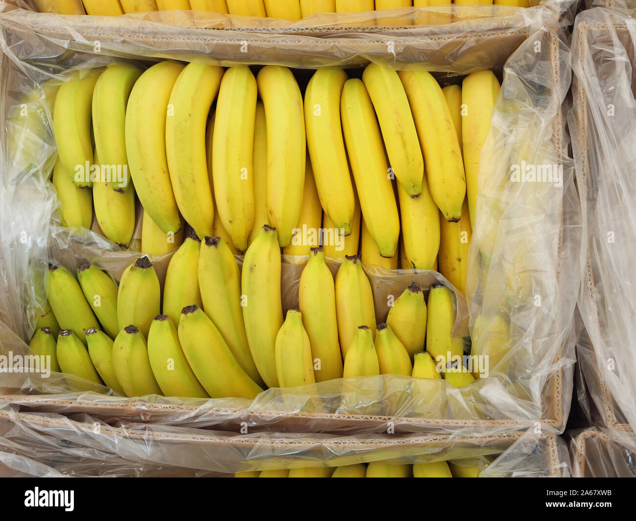 bananas in the box for sale at local market Stock Photo - Alamy