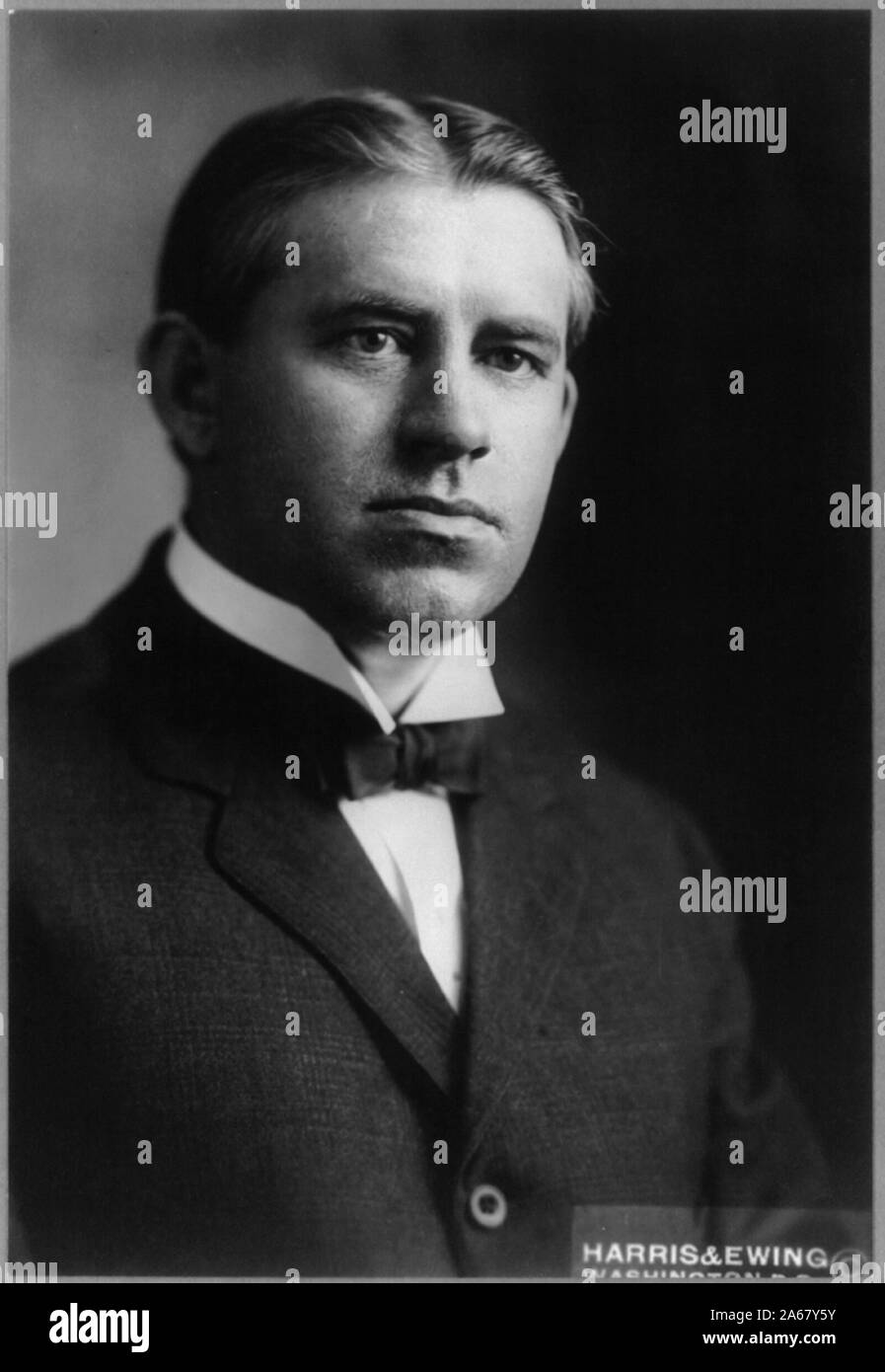 William hughes hi-res stock photography and images - Alamy