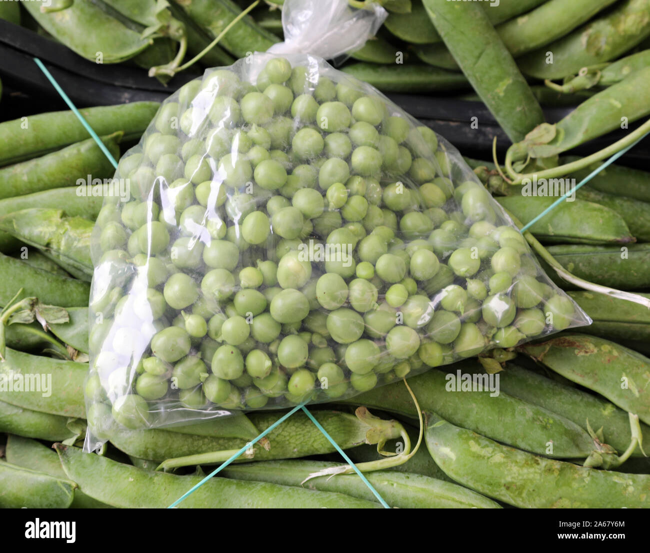full bag of big green peas for sale at supermarket Stock Photo - Alamy