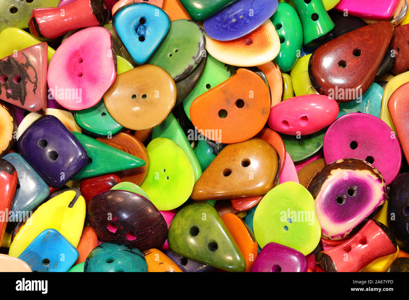 Ivory nut palm hi-res stock photography and images - Alamy