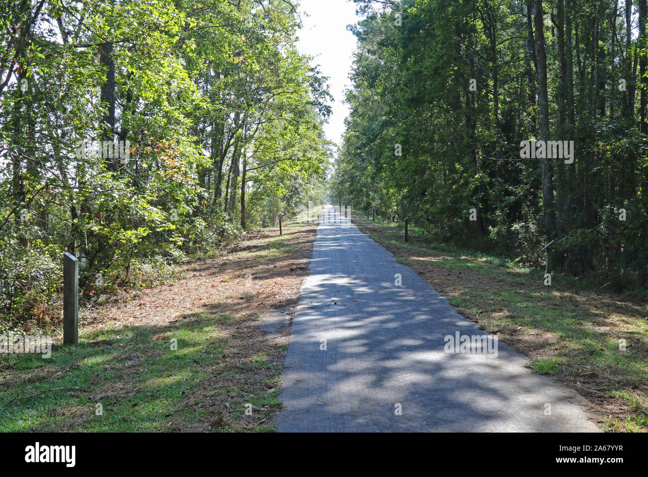 Alligator river north carolina hi-res stock photography and images - Alamy