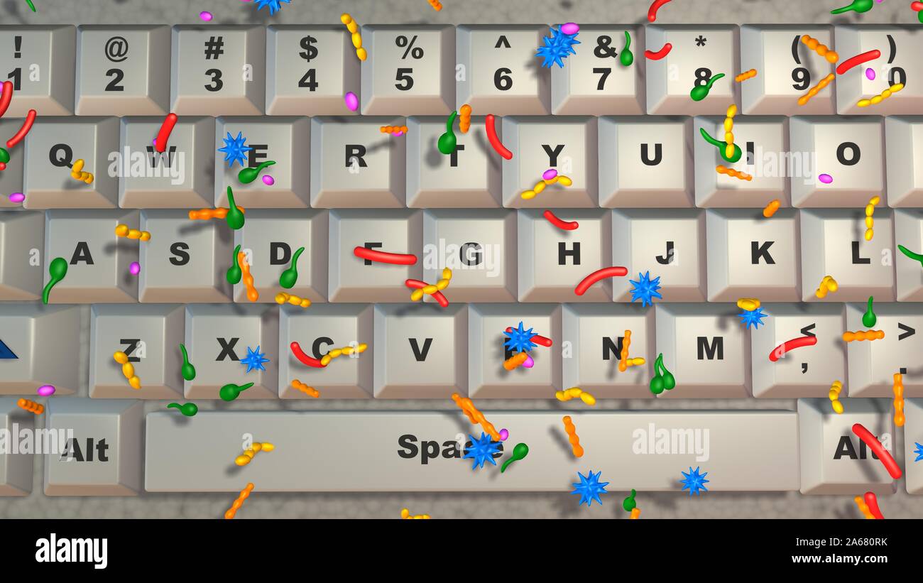 Reproducing bacteria hi-res stock photography and images - Alamy