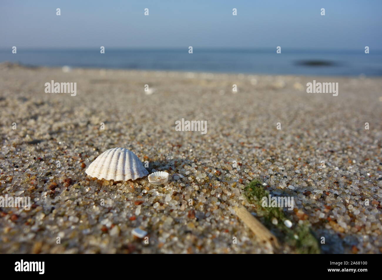 Flotsam beachcombing hi-res stock photography and images - Alamy