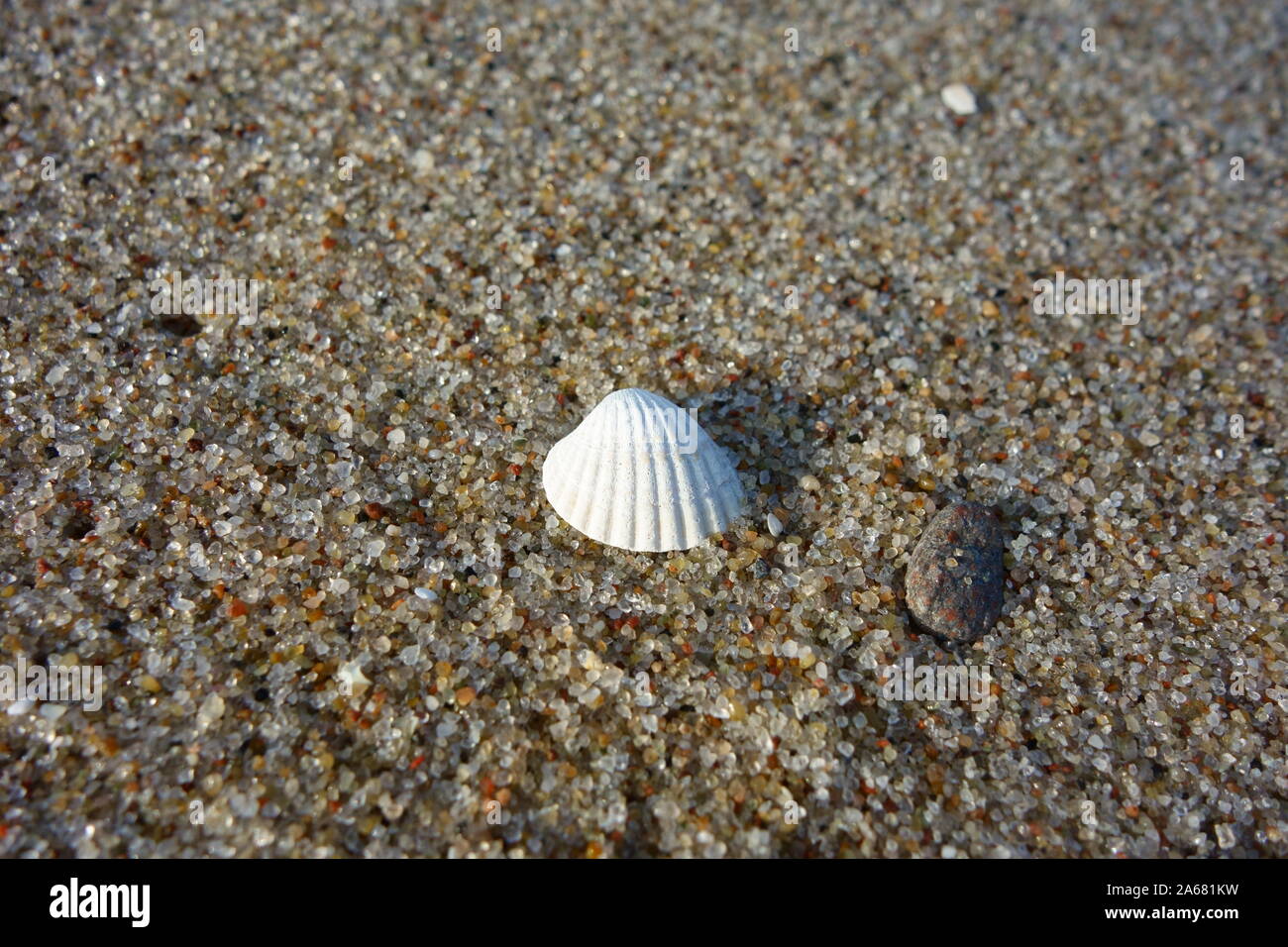 Flotsam beachcombing hi-res stock photography and images - Alamy