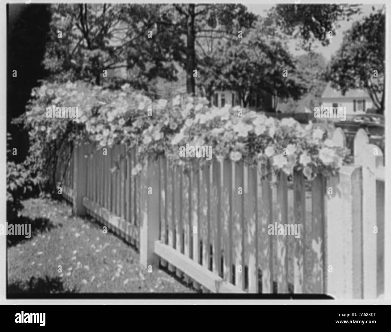 Williamsburg, Virginia, Bryan house Stock Photo - Alamy