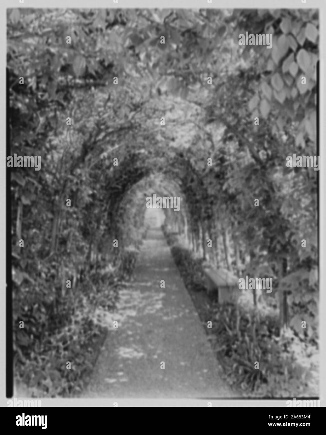 Virginia colony 18th century hi-res stock photography and images - Alamy