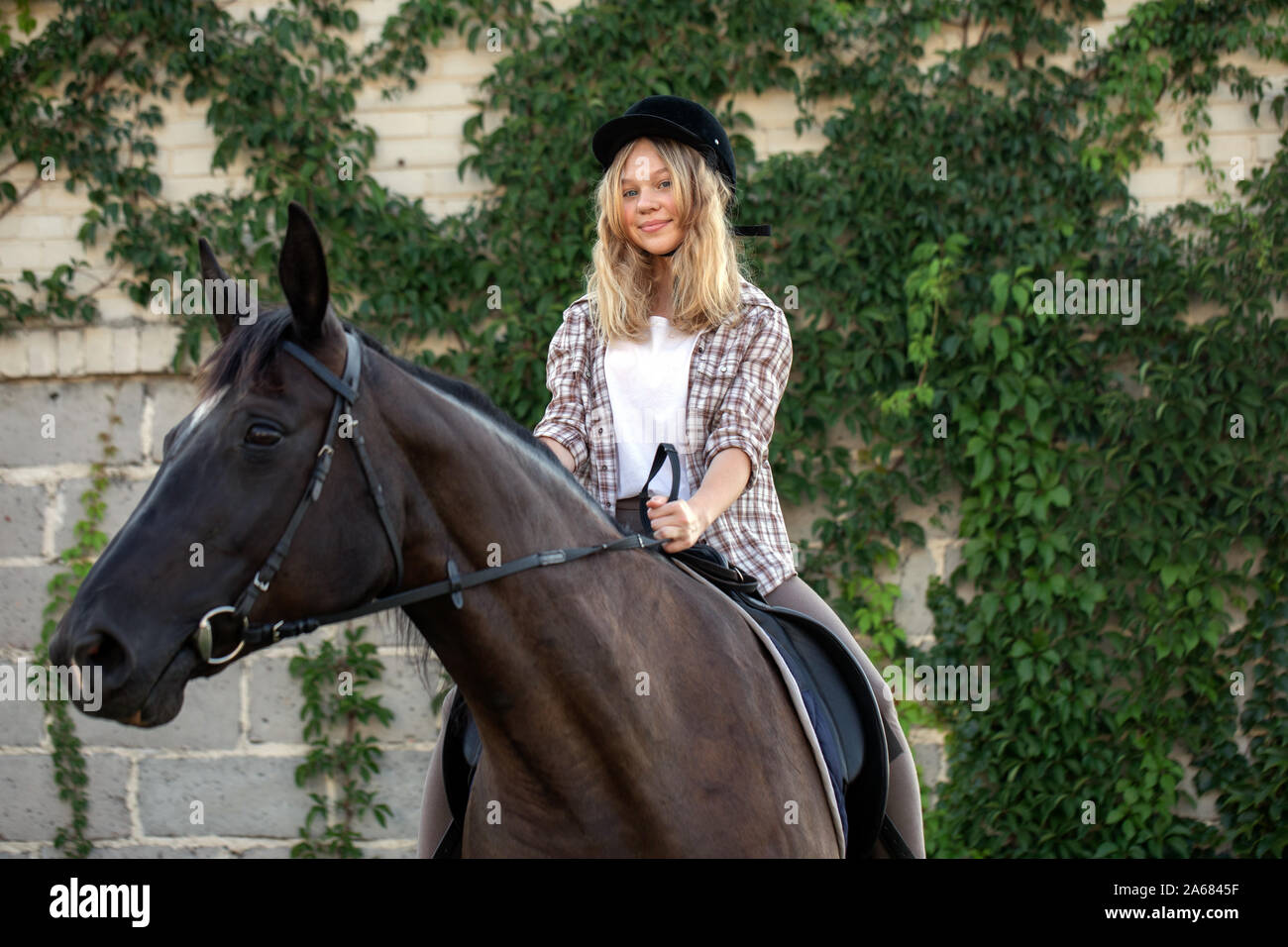 pretty girl with her horse Stock Photo - Alamy