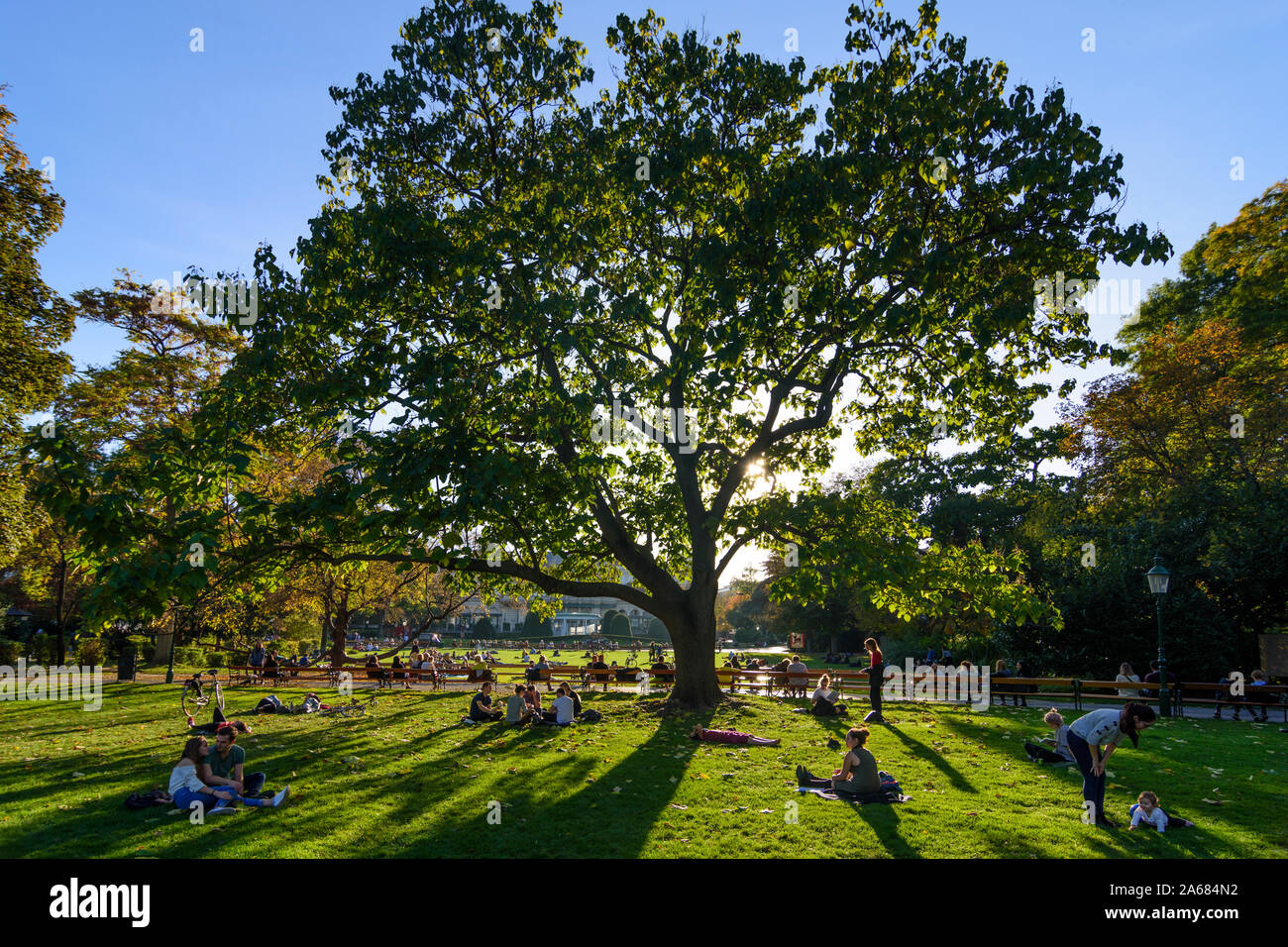 Wien, Vienna: park Stadtpark, meadow, people sunbathing, talking, tree in Austria, Wien, 01. Old ...