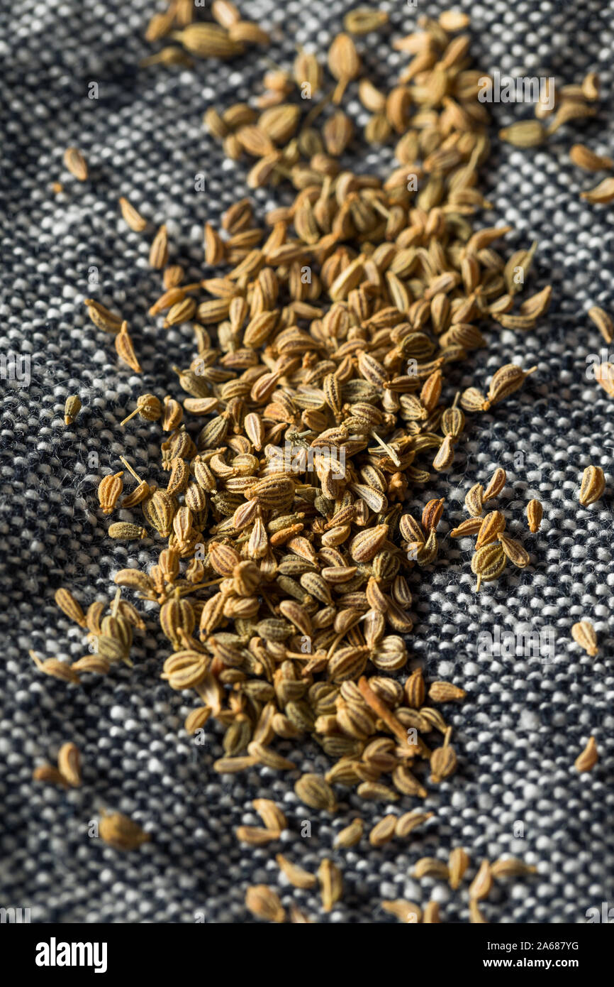 Raw Brown Organic Ajwain Seed in a Bowl Stock Photo - Alamy