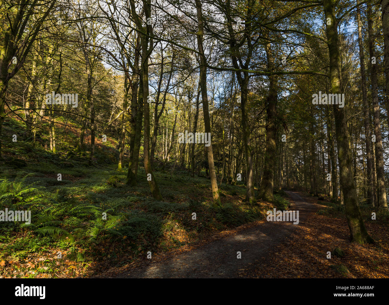 Curved pathway hi-res stock photography and images - Alamy