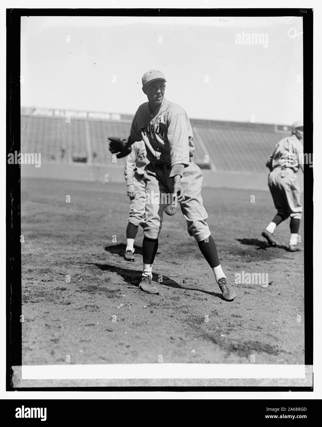 Wingard Cut Out Stock Images & Pictures - Alamy