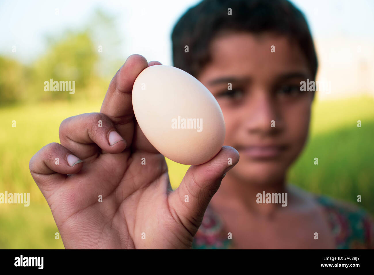 Small hand holding egg Stock Photo - Alamy