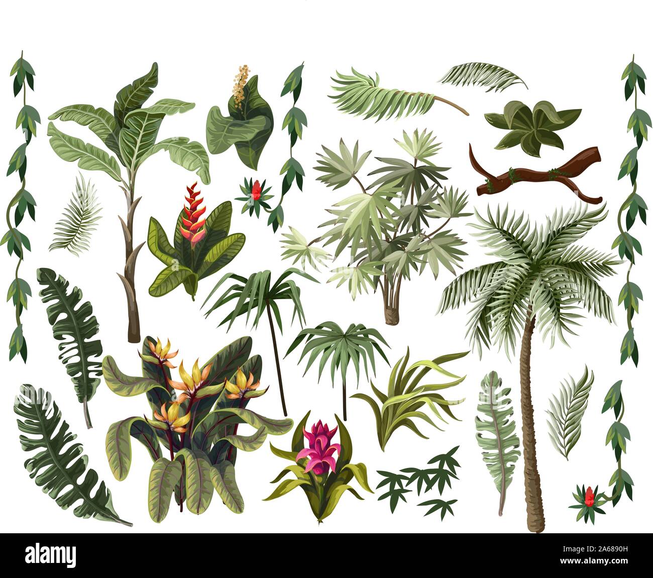 Palm trees flowers Stock Vector Images - Alamy