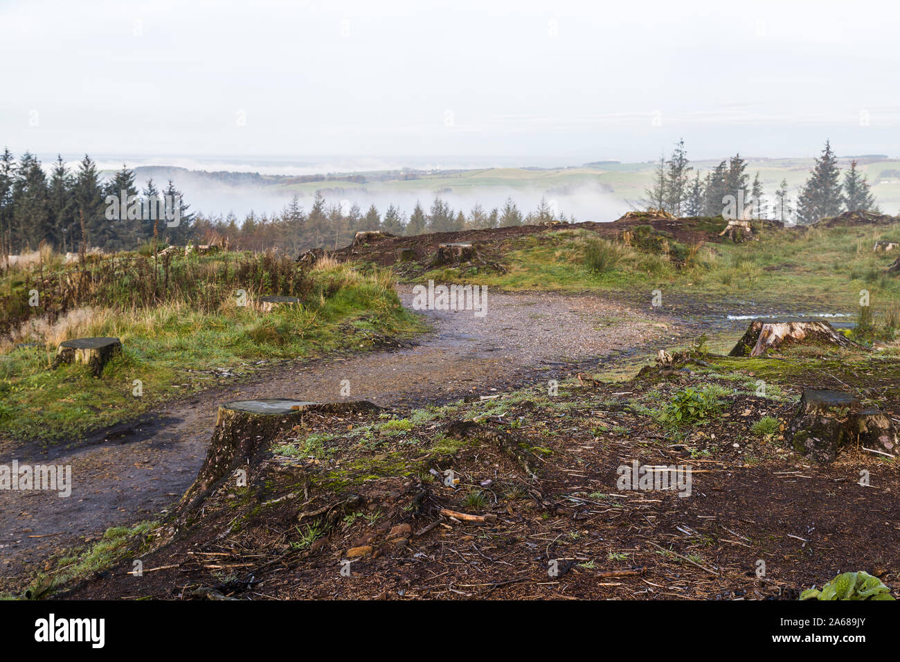 Beacon fell country park lancashire hi-res stock photography and images ...