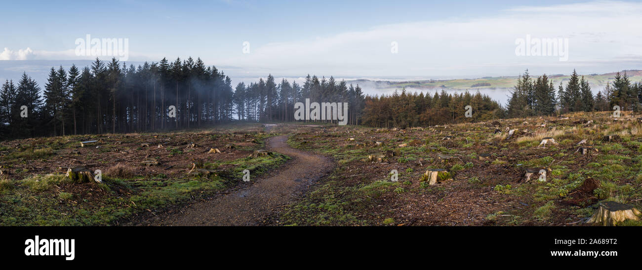 Beacon fell country park lancashire hi-res stock photography and images ...