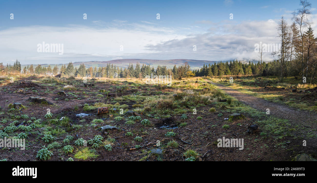 Beacon fell country park lancashire hi-res stock photography and images ...