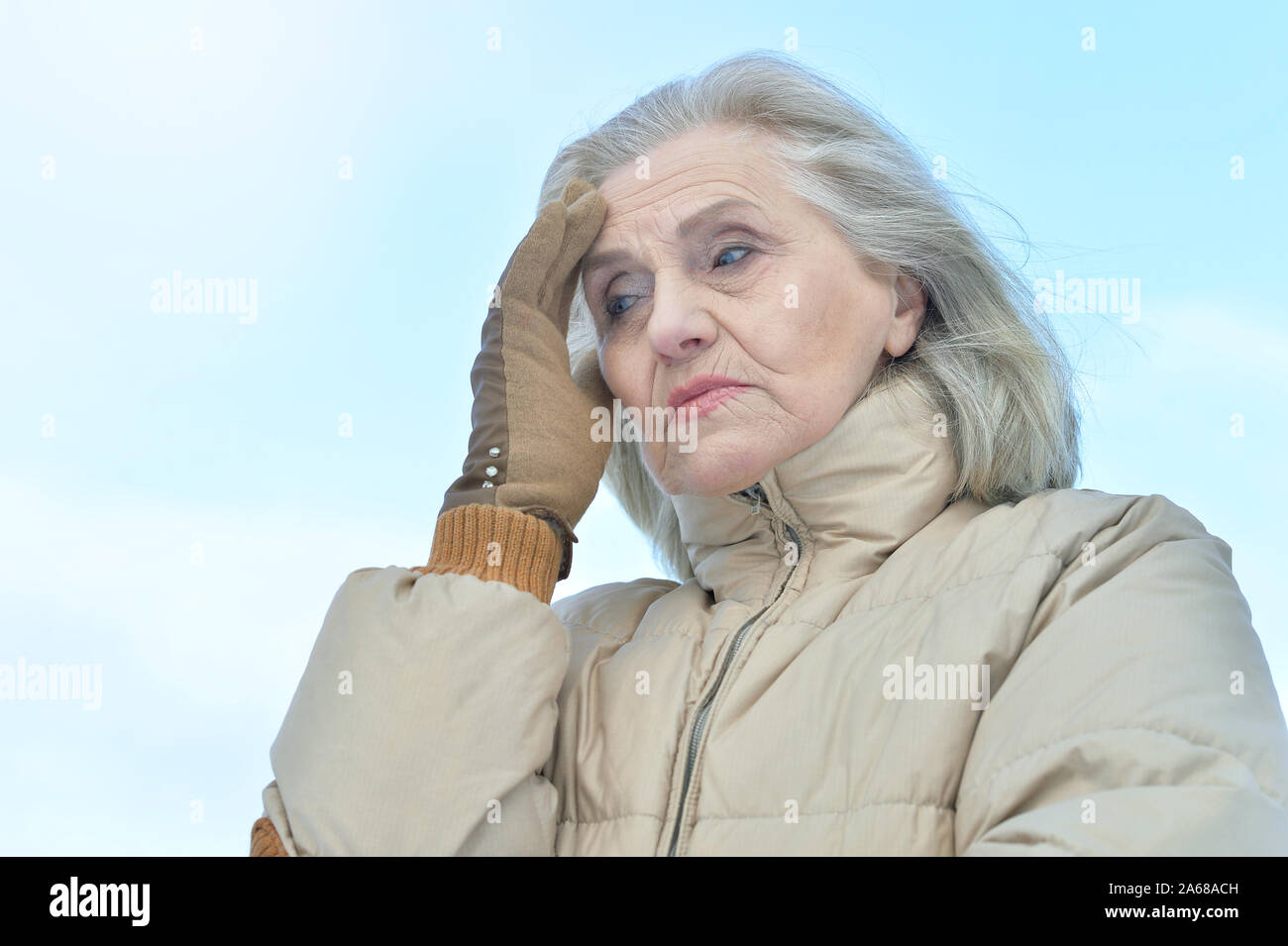 Older people person portrait posing retired retirement senior hi-res ...