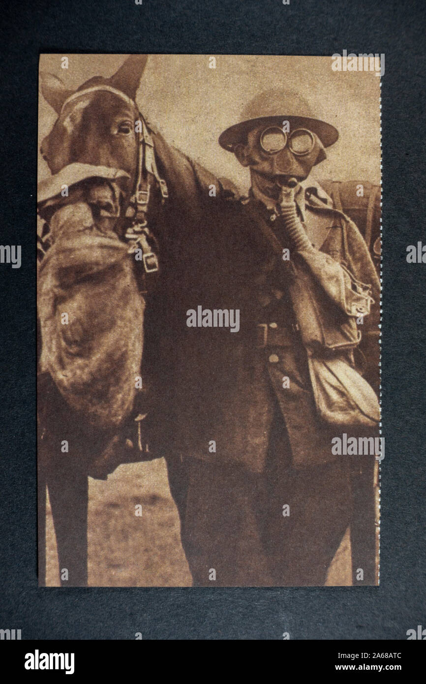 World war one gas mask hi-res stock photography and images - Alamy