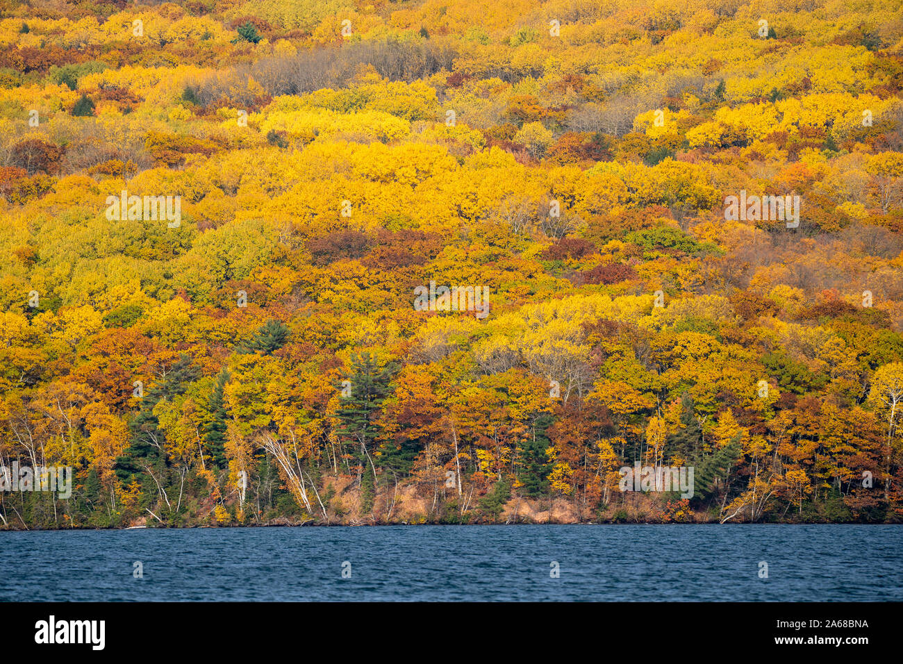 Fall colors on trees as far as the eye can see on the Apostle Islands ...