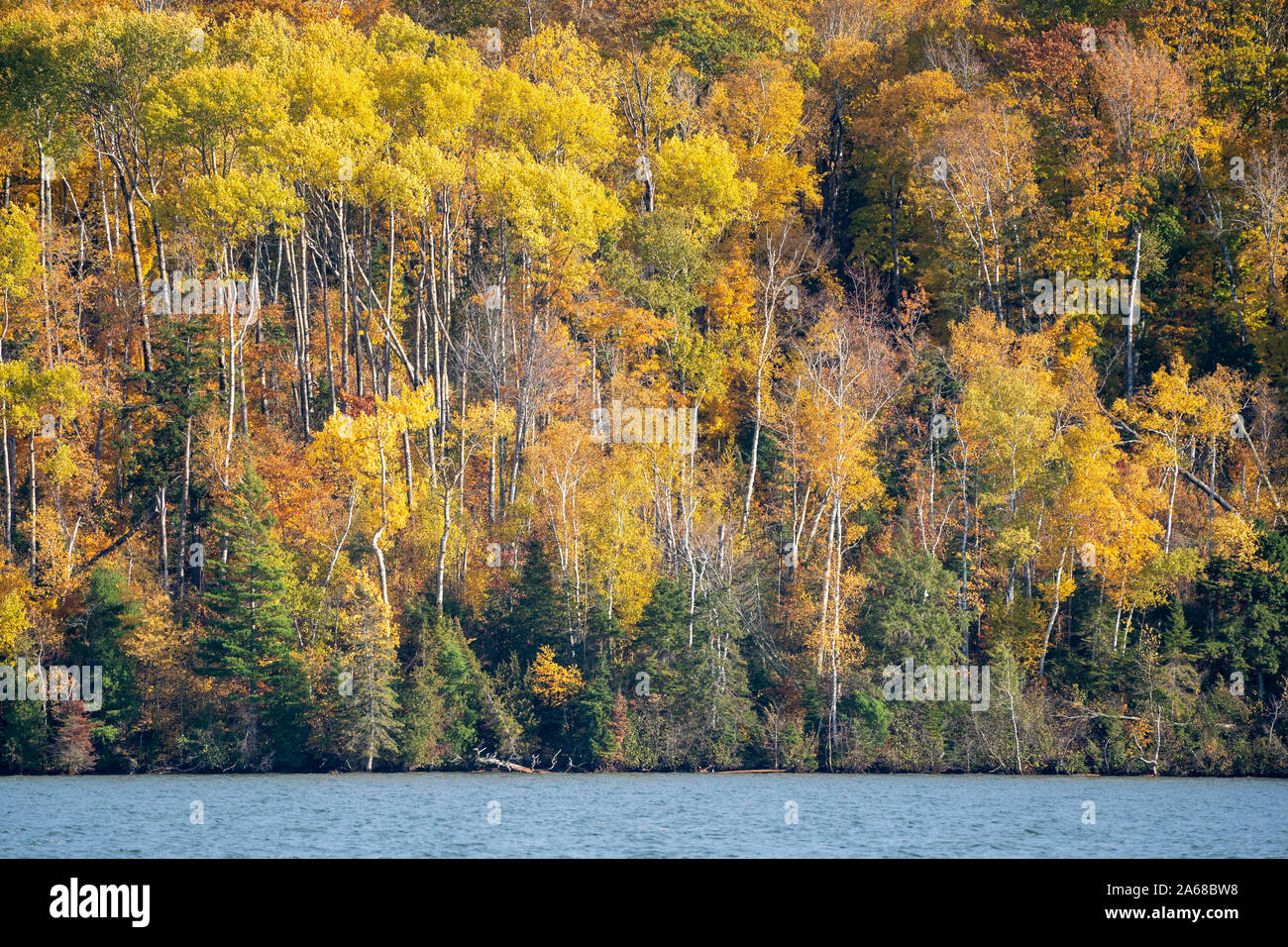 Fall colors on trees as far as the eye can see on the Apostle Islands ...