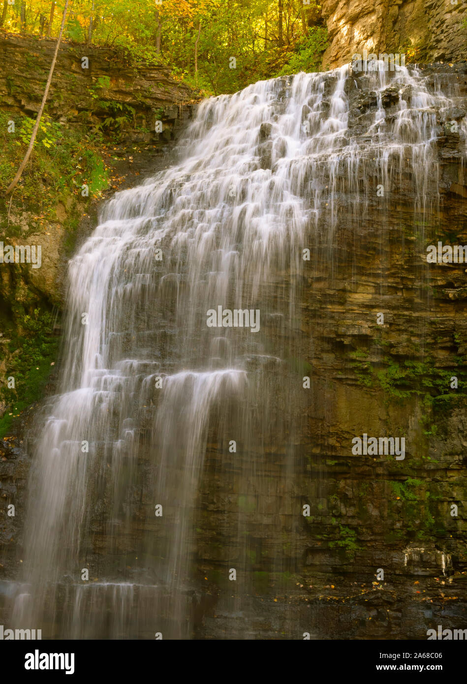 Tiffany falls conservation area hi-res stock photography and images - Alamy