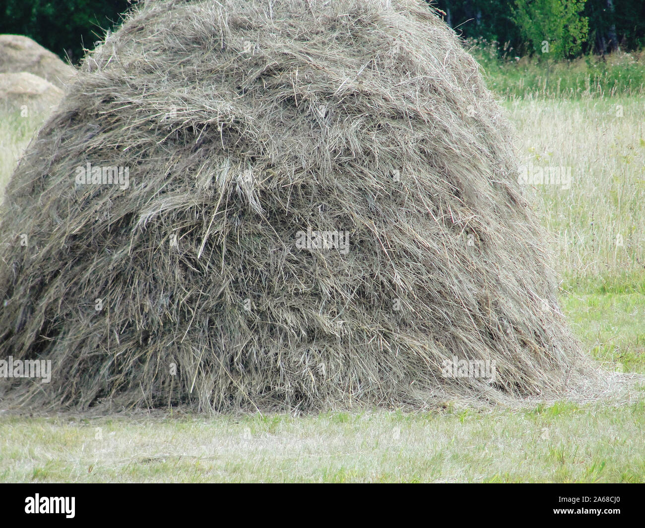 Hay pile on field at countryside in summer Stock Photo - Alamy
