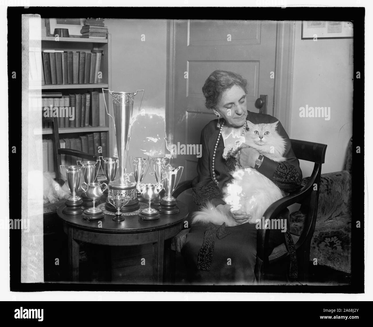 Cat woman Cut Out Stock Images & Pictures - Alamy