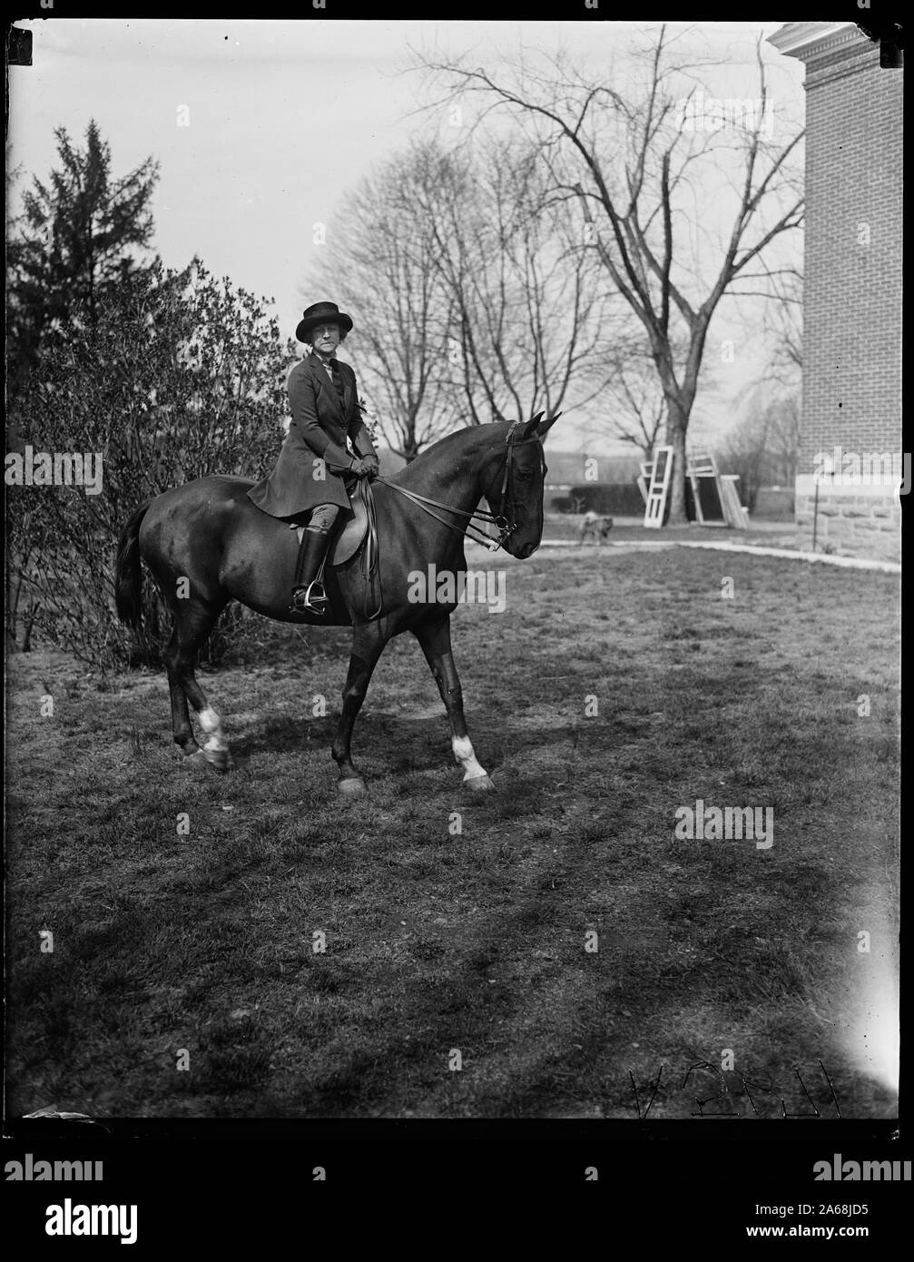 Female rider horse woman Black and White Stock Photos & Images - Alamy