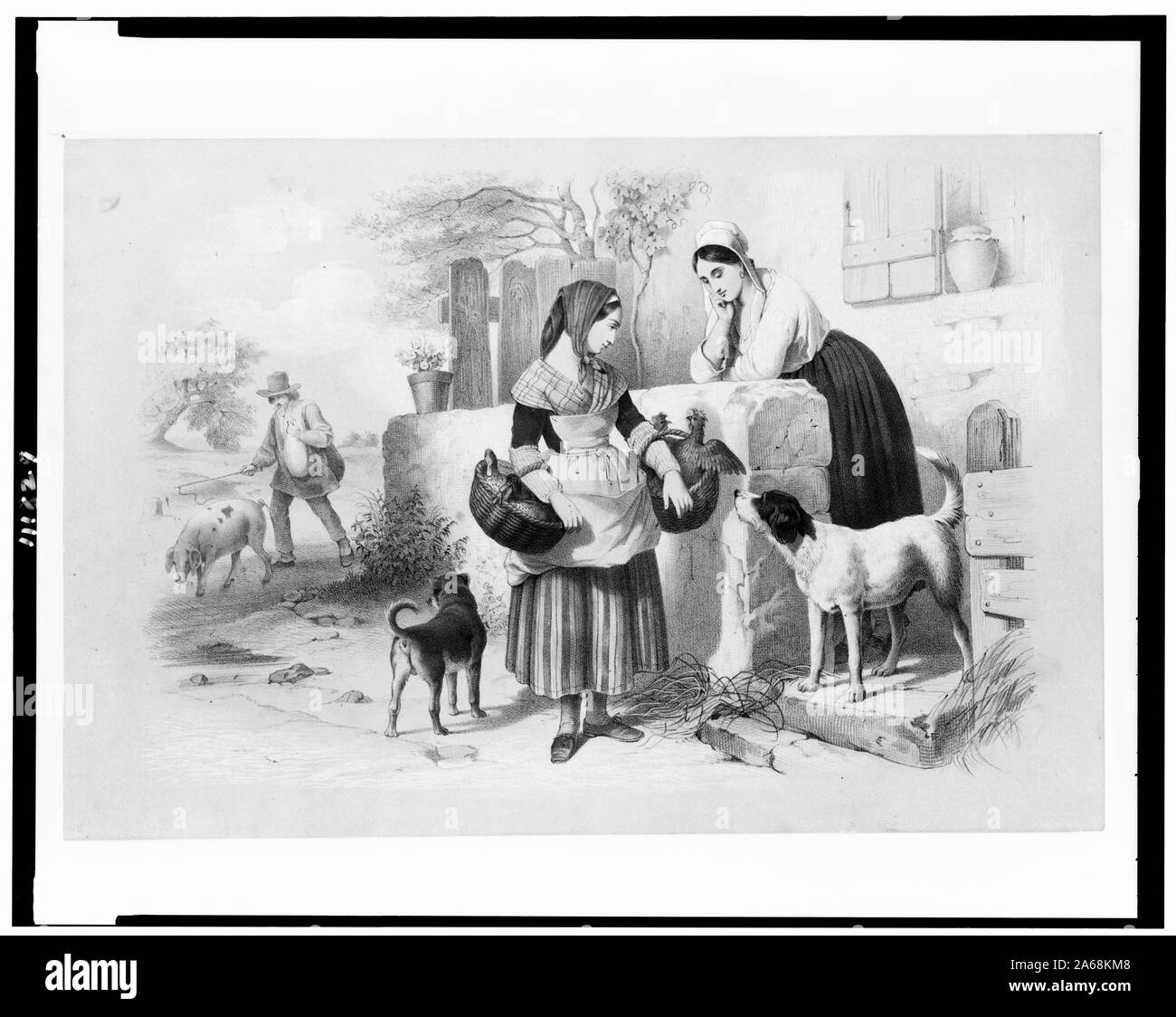 Man, farm, walking Black and White Stock Photos & Images - Alamy