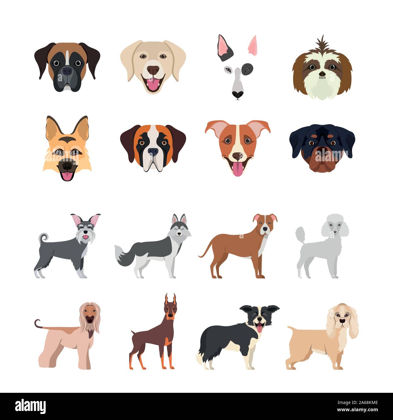 Breeds of puppies Stock Vector Images - Alamy