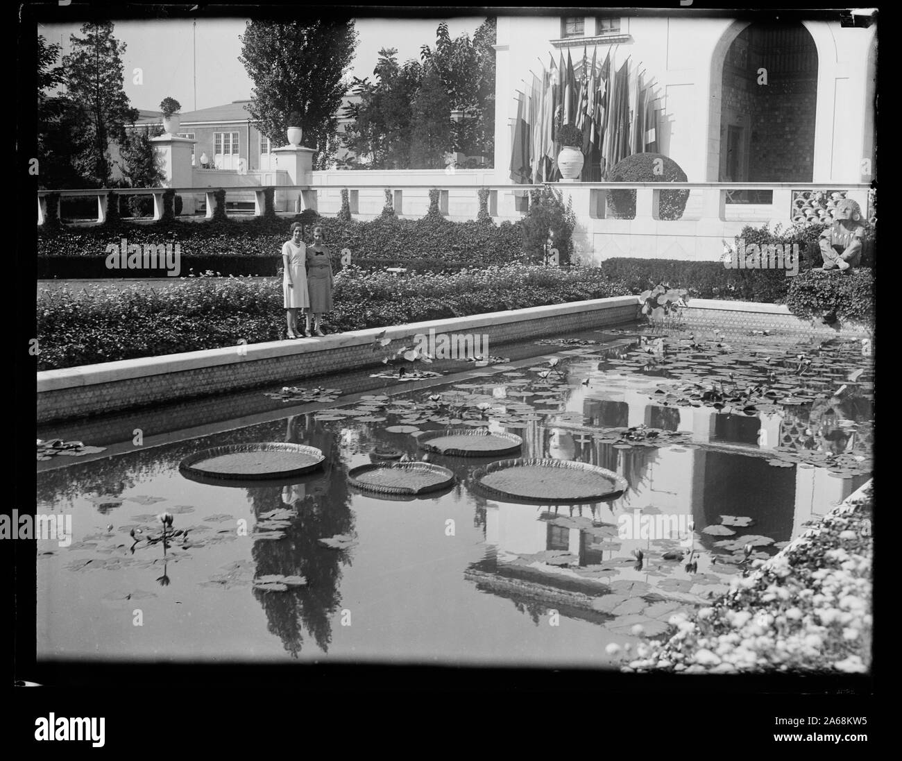 Lily water pond Black and White Stock Photos & Images - Alamy