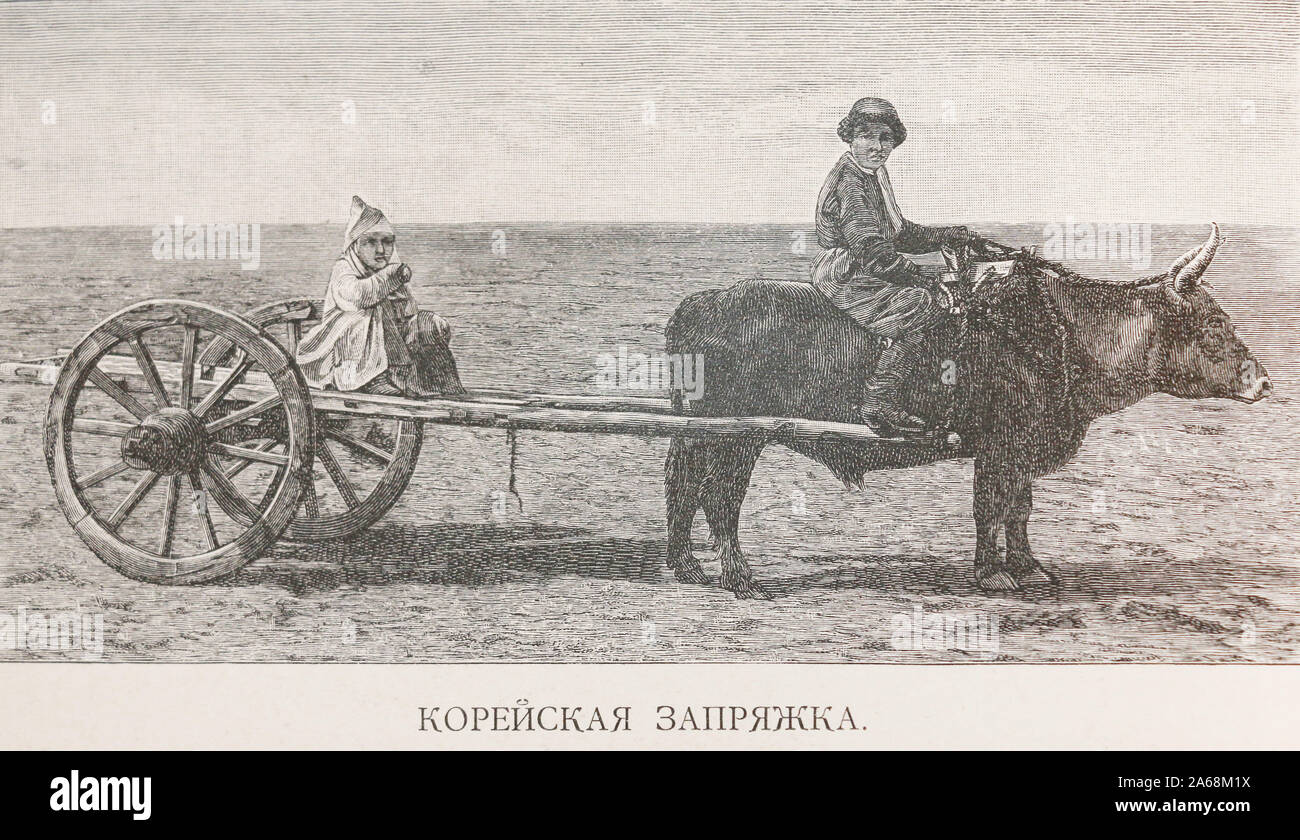 Korean cart. Engraving of the 19th century Stock Photo - Alamy