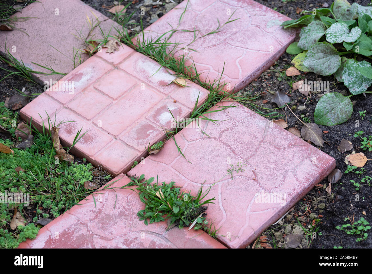 Stone tiles like paths in the garden. Top view Stock Photo - Alamy
