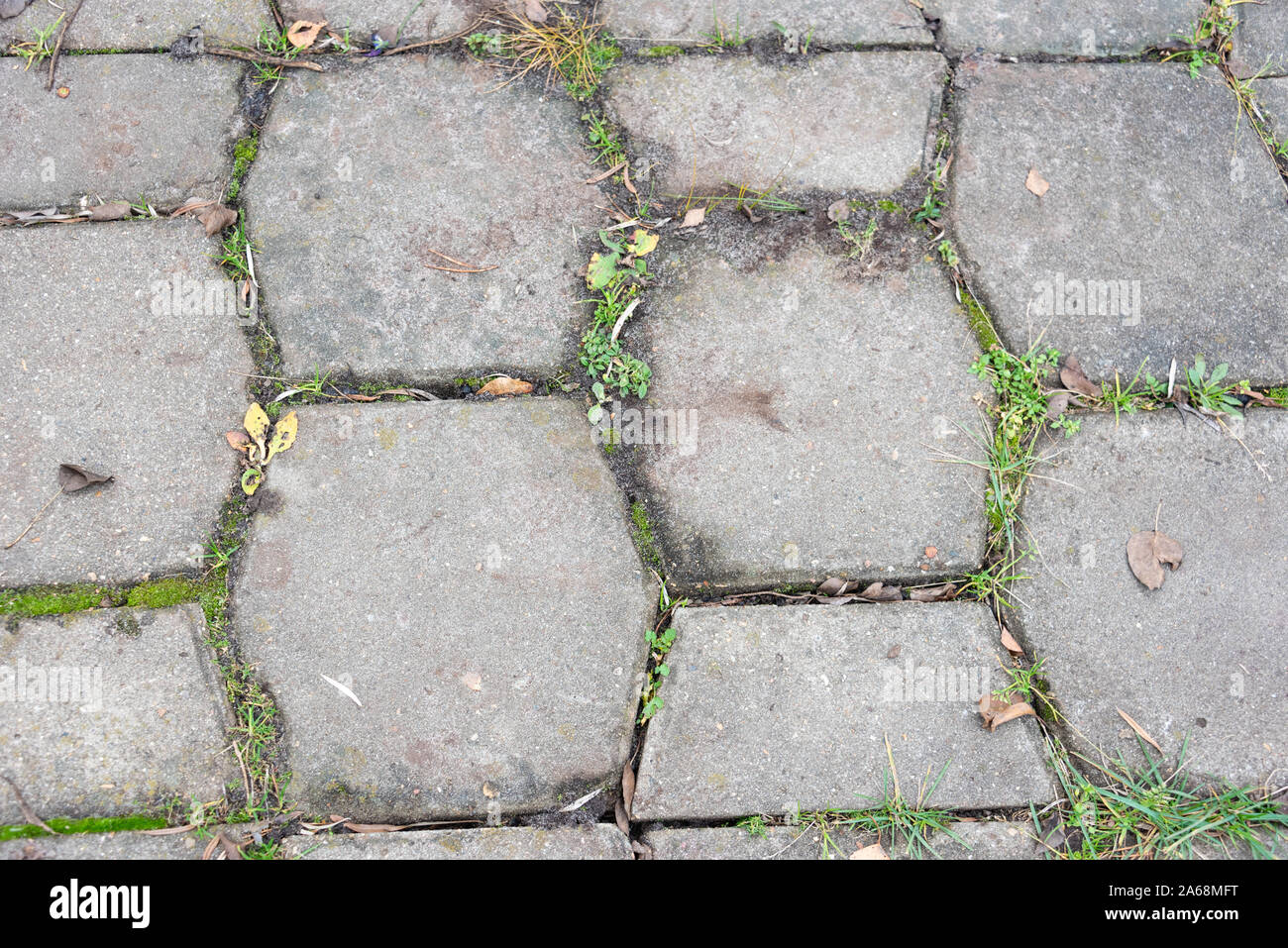 Stone tile surface as background. Garden path made of stone tiles ...