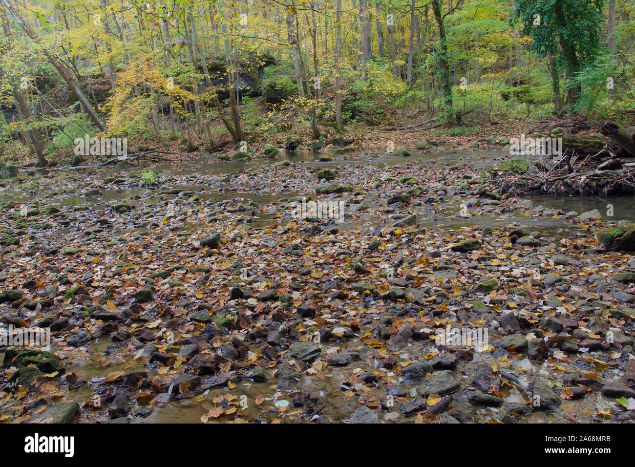 Drying river bed hi-res stock photography and images - Alamy