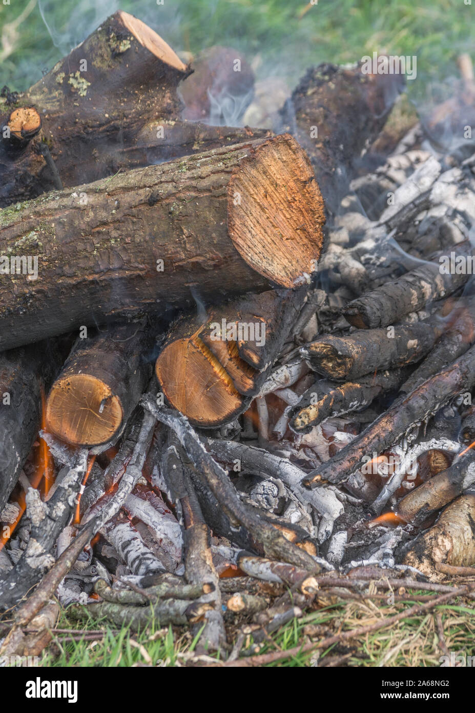 Orange and red flames of a burning wood camp fire / burning twigs ...