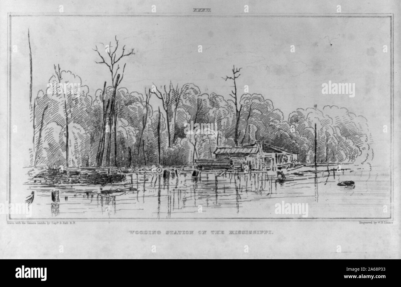 Wooding hi-res stock photography and images - Alamy