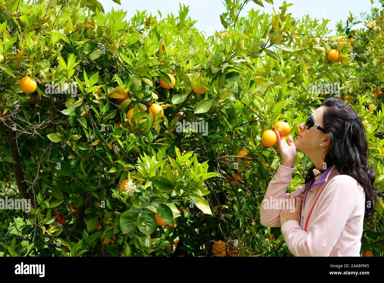 Woman smell orange hi-res stock photography and images - Alamy