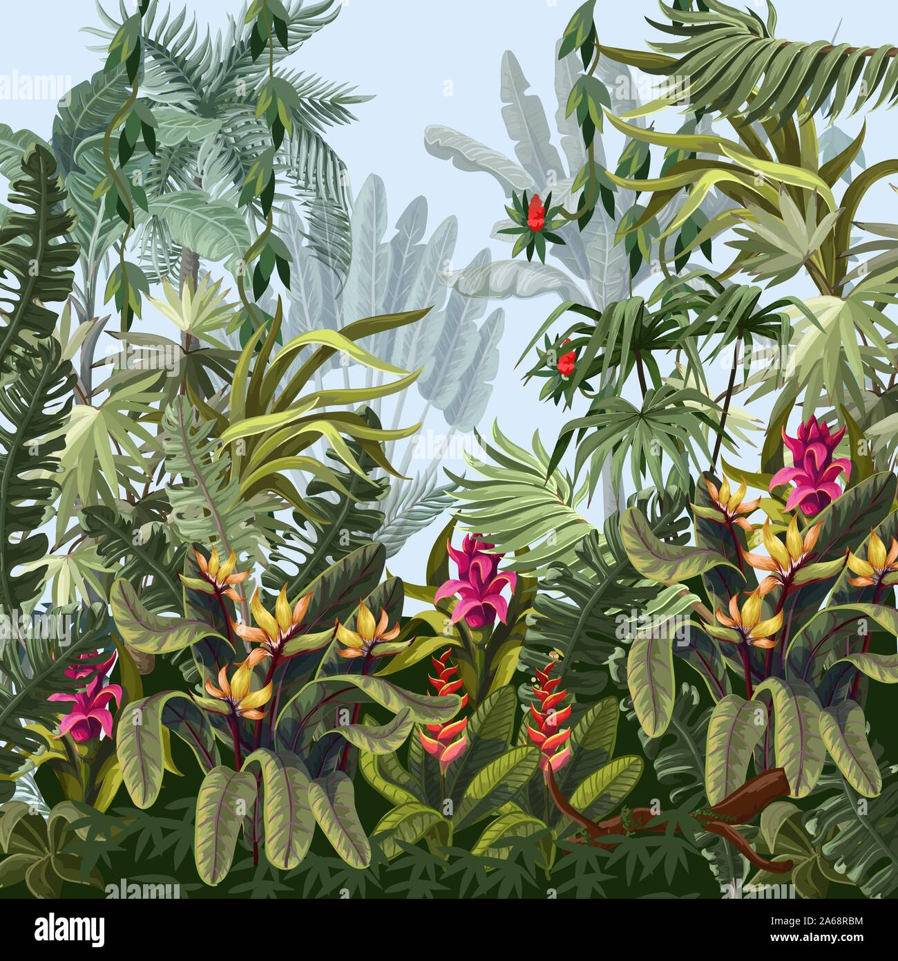 Seamless border jungle trees hi-res stock photography and images - Alamy