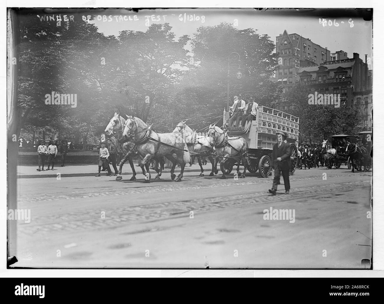 Work Horse Parade, Borden Team, winner of obstacle test, New York Stock ...
