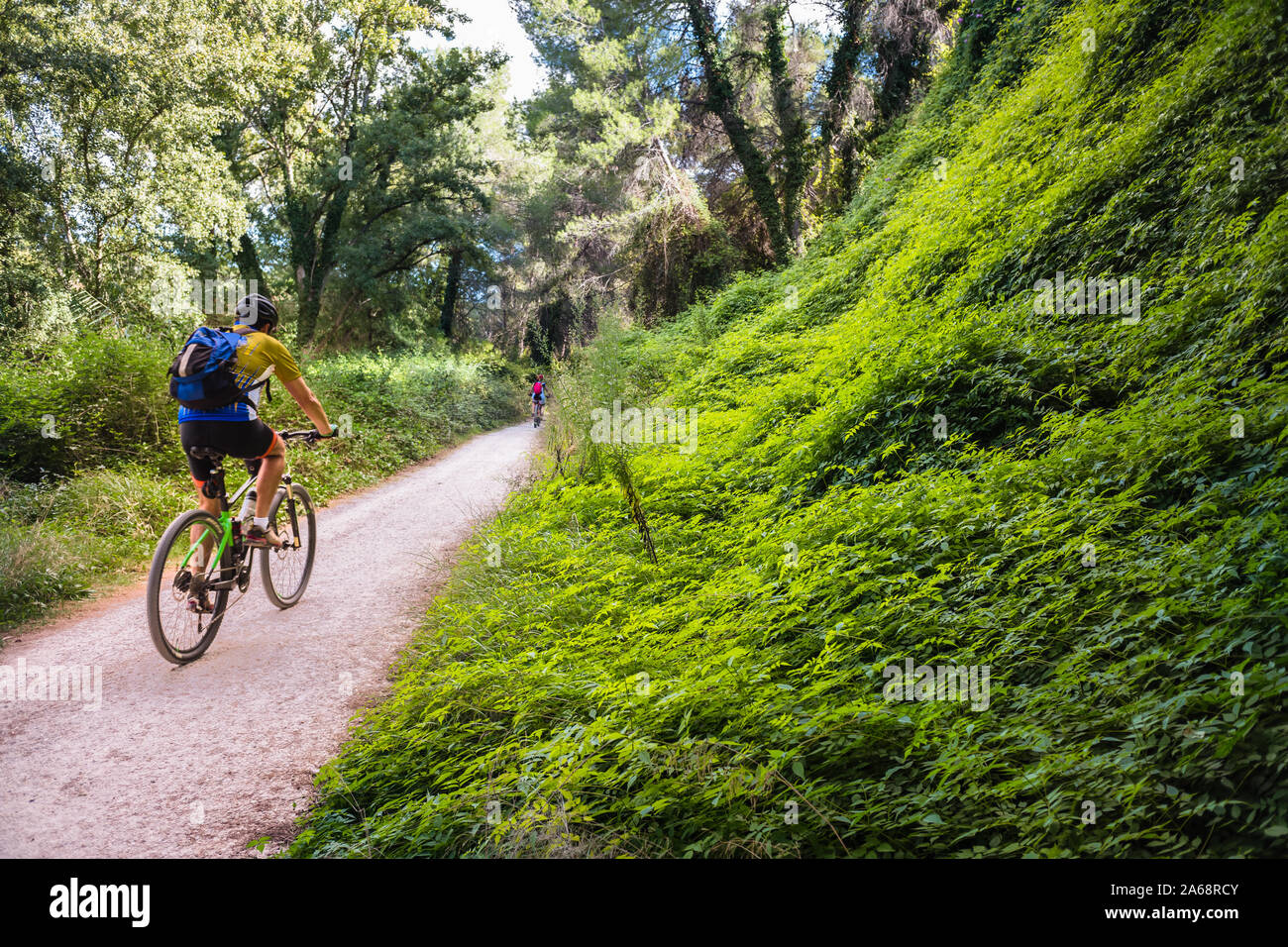 A cyclist rides a path through bushes and tall trees as a healthy ...